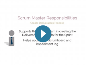 Core Role - Scrum Team - ATI Mirage