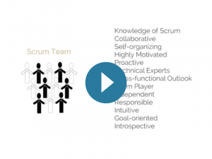 Core Role - Scrum Master - ATI Mirage