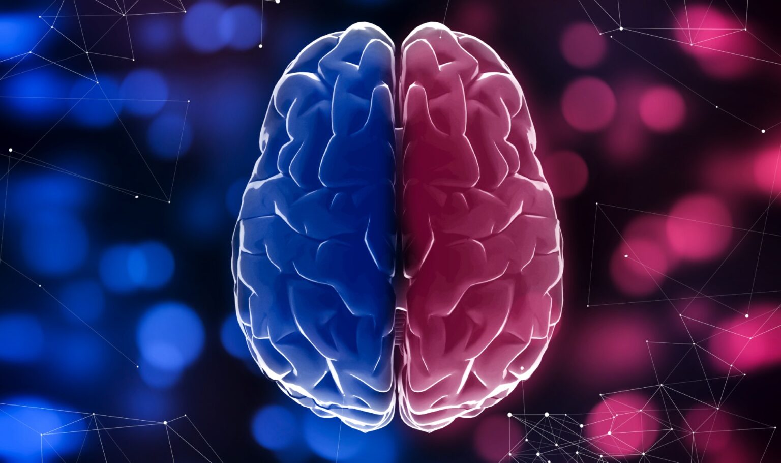 Transform Workplace Outcomes with the Red Brain, Blue Brain Framework